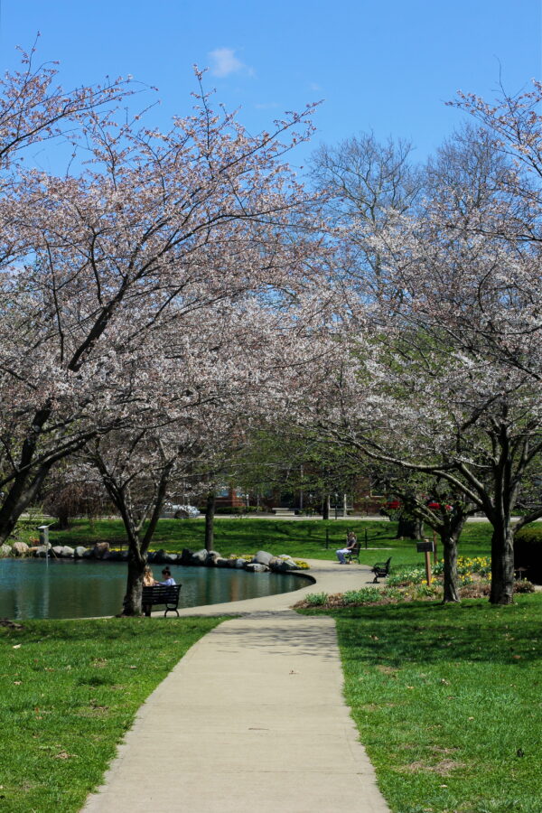 Spring in Goodale Park - amanda party + home