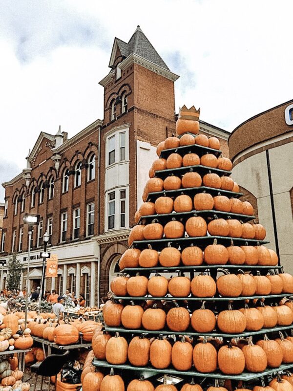 13 Family Traditions to Start this Fall - amanda party + home