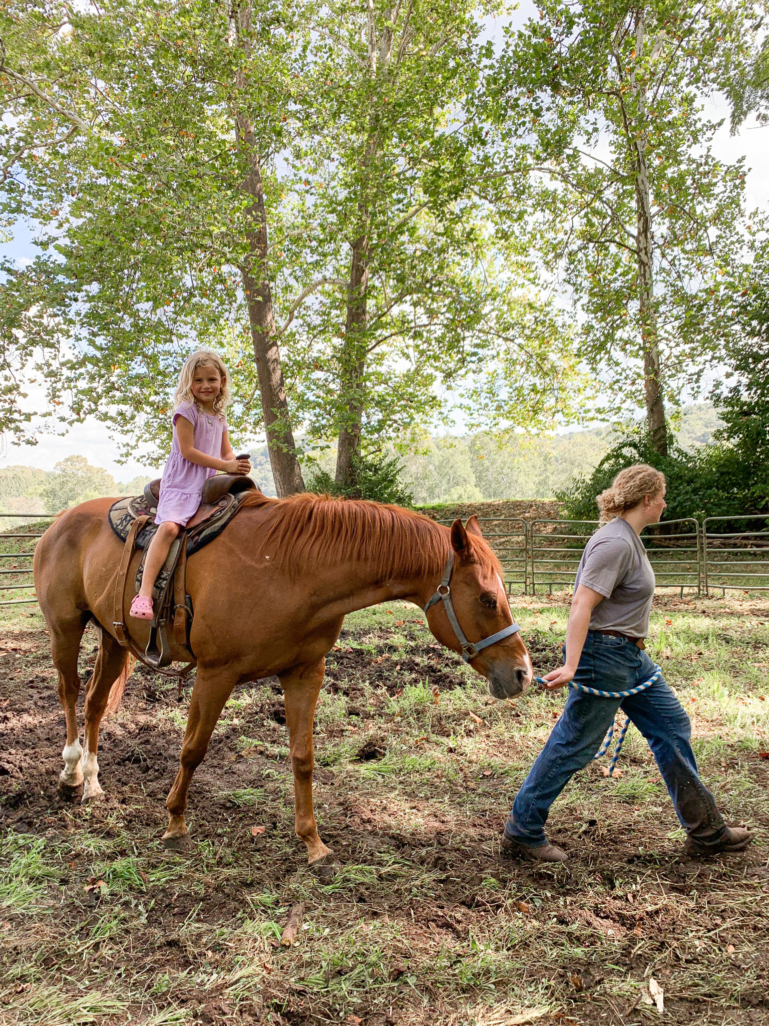 hirsch fruit farm - amanda party + home