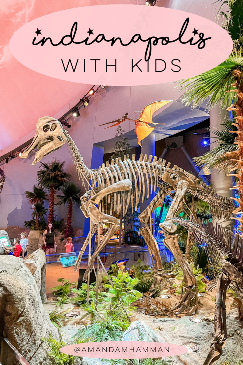 Indianapolis with Kids - amanda party + home