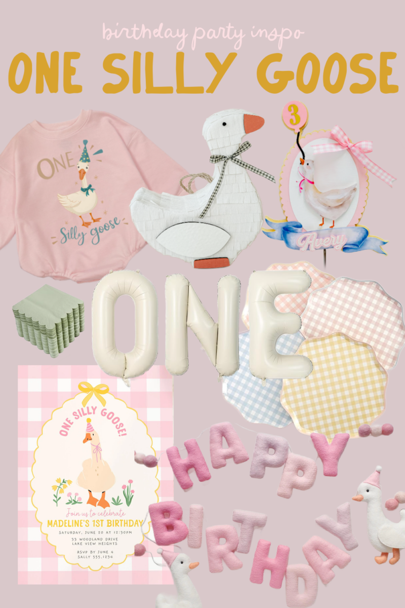 One Silly Goose Birthday Party - amanda party + home